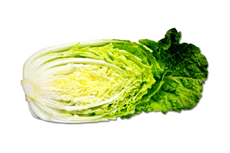 LONG CABBAGE HALF - Jiada